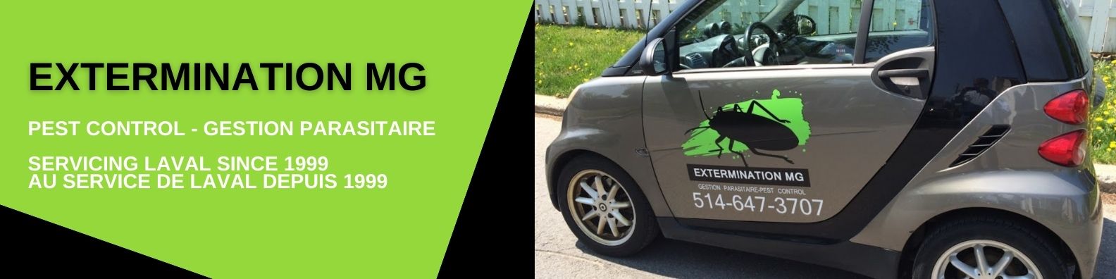 Exterminateur à Laval - Depuis 20 ans, Extermination MG